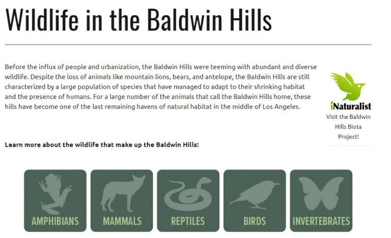 Nature of the Baldwin Hills Parklands – Baldwin Hills Conservancy